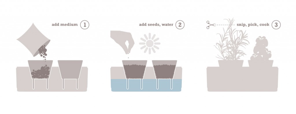 Hassle free ultra-fresh ingredients, the new Seed Pantry grow pod is ...